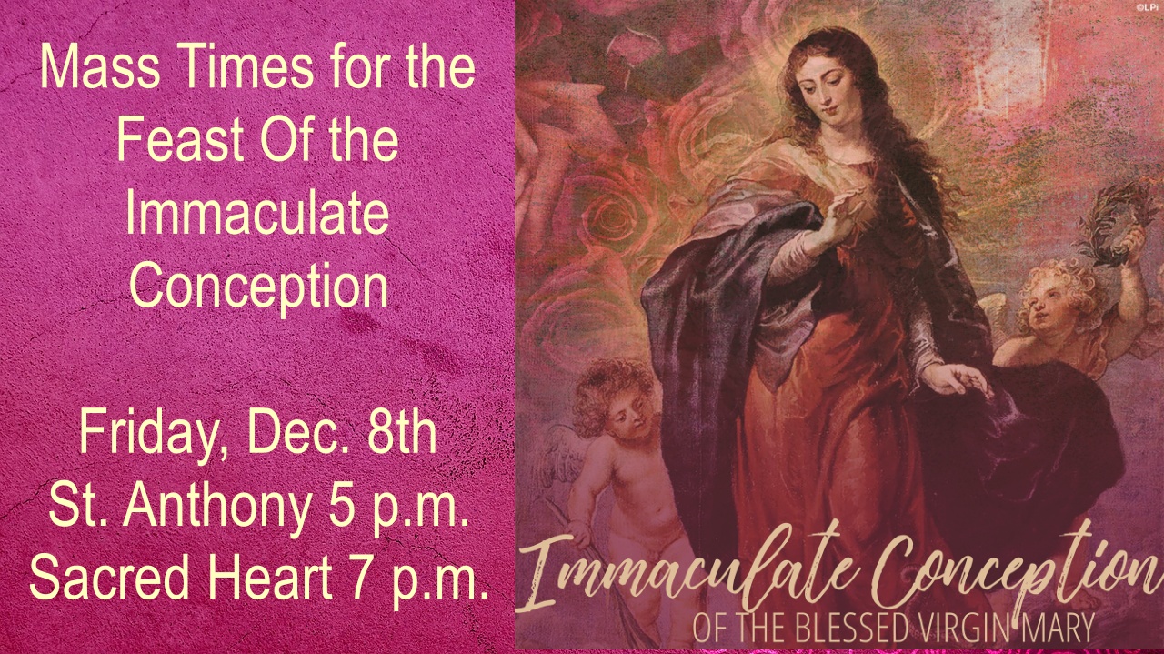 Feast of the Immaculate Conception Mass Times – St. Anthony Catholic Church